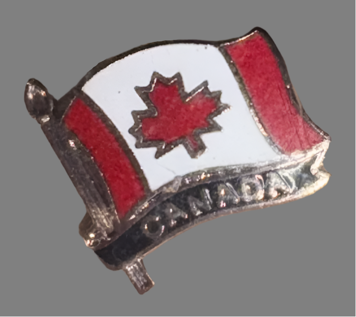 Canadian Flag Pin – The GE Group